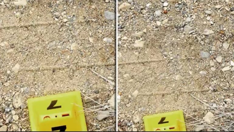 Parejas asesinas: Toni Fratto y Kody Patten - AMC SELEKT