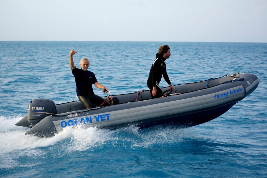 Ocean Vet: Los mejores momentos - AMC SELEKT