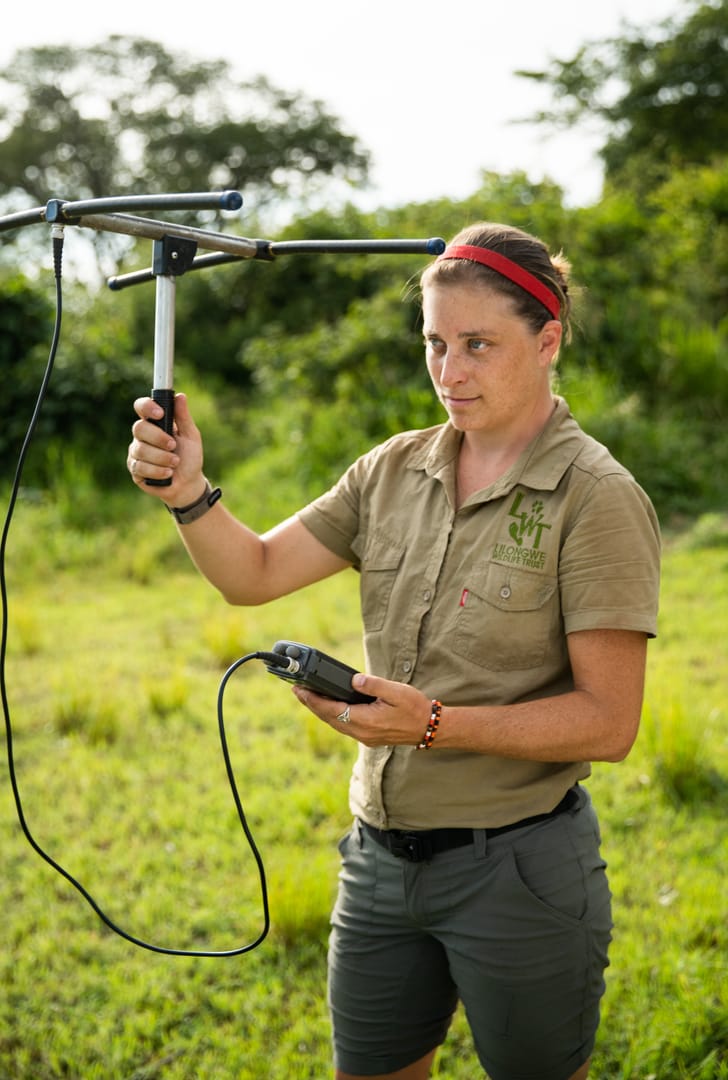 Centro de rescate en Malaui: Atrápame si puedes - AMC SELEKT