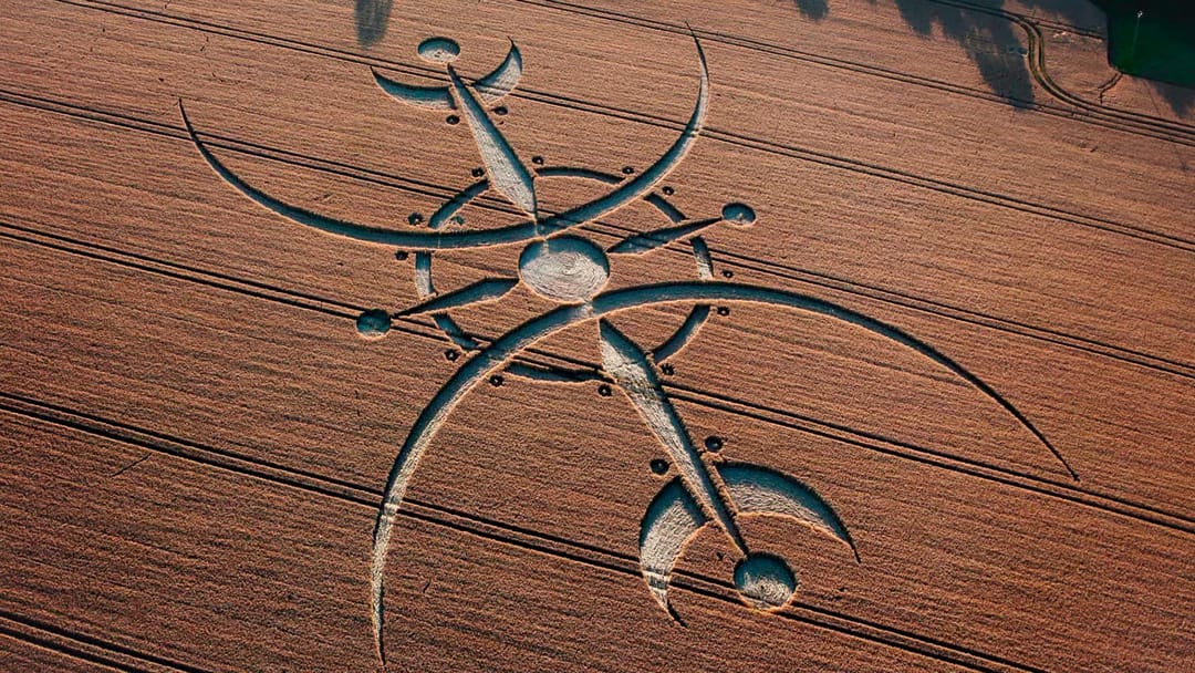 Alienígenas: El código de los agroglifos - AMC CHANNELS