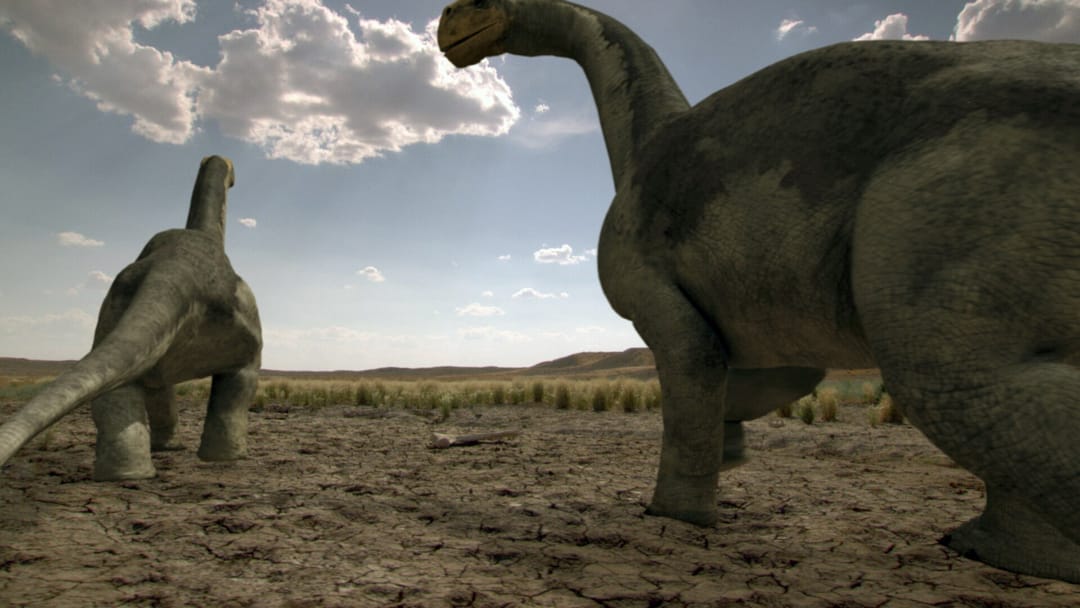 Lucha en el Jurásico: El Raptor contra el T-Rex - AMC SELEKT