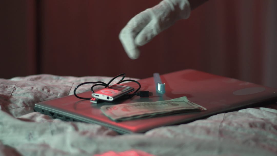 Phrogging: escondidos en mi casa: Vive entre nosotros - AMC CHANNELS