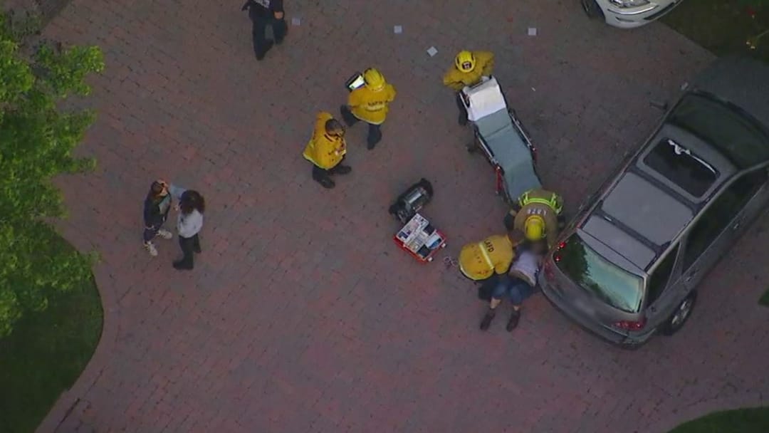 Guerra de vecinos: Agárralo y machácalo - AMC SELEKT