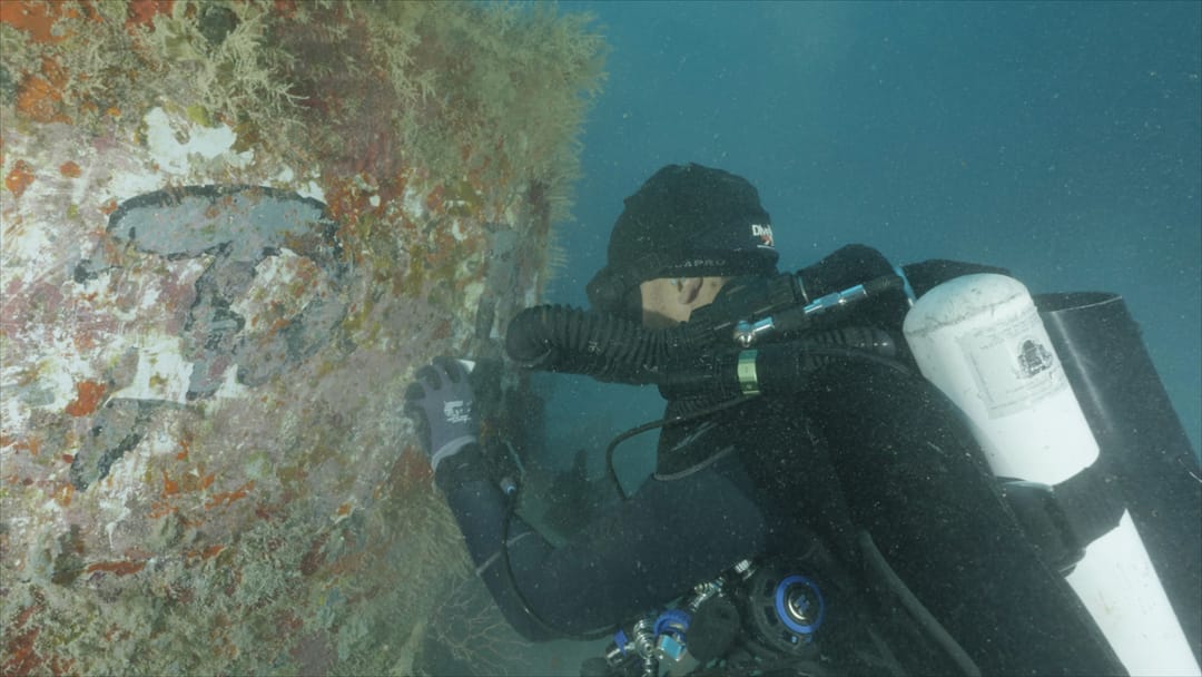 El Triángulo de las Bermudas: En aguas malditas: Piratas en el Caribe ...