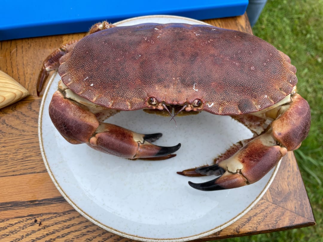 El camino de Santiago by Julius: Castro Urdiales - AMC CHANNELS