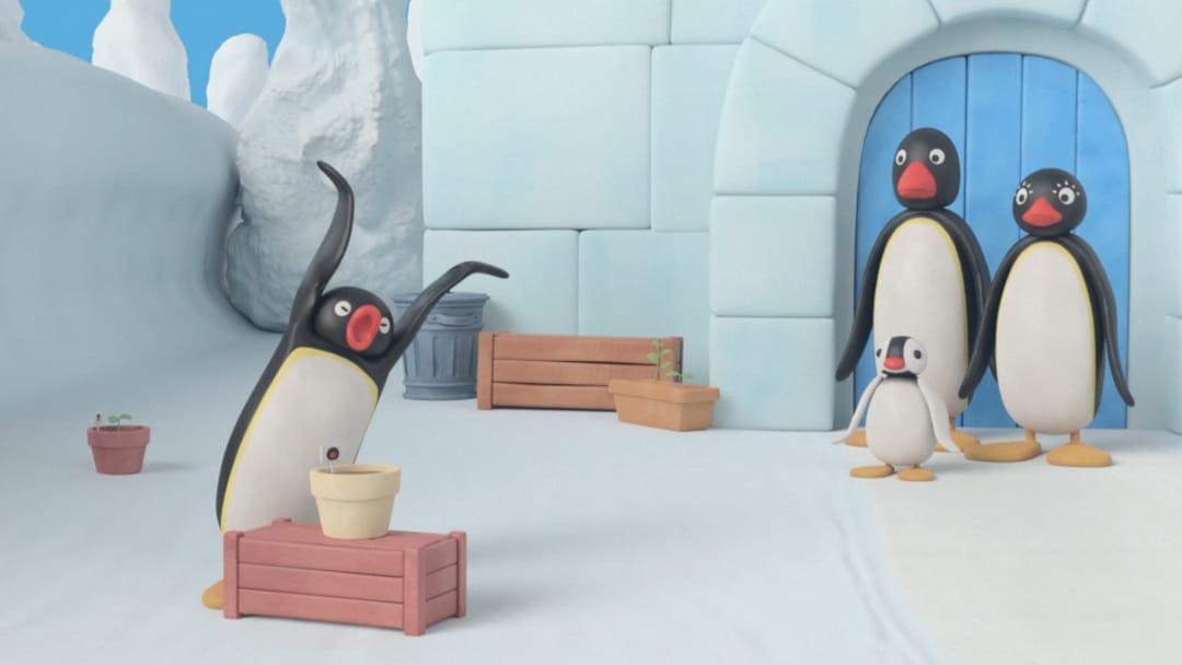 Pingu en la ciudad: Las semillas de Pinga - AMC CHANNELS