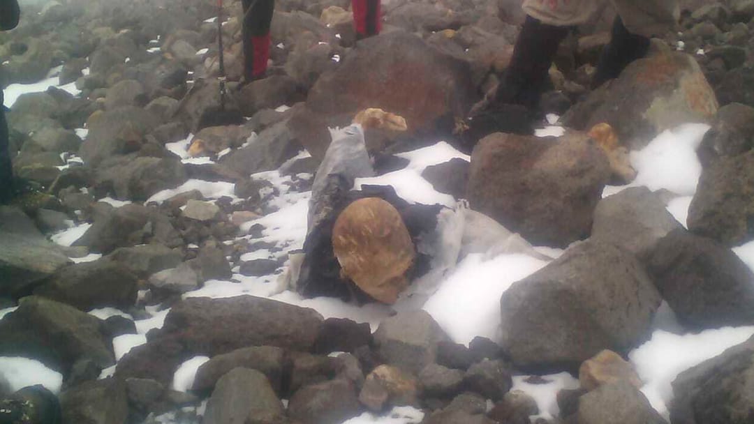 Arqueología en el hielo: La venganza de la momia de hielo - AMC CHANNELS