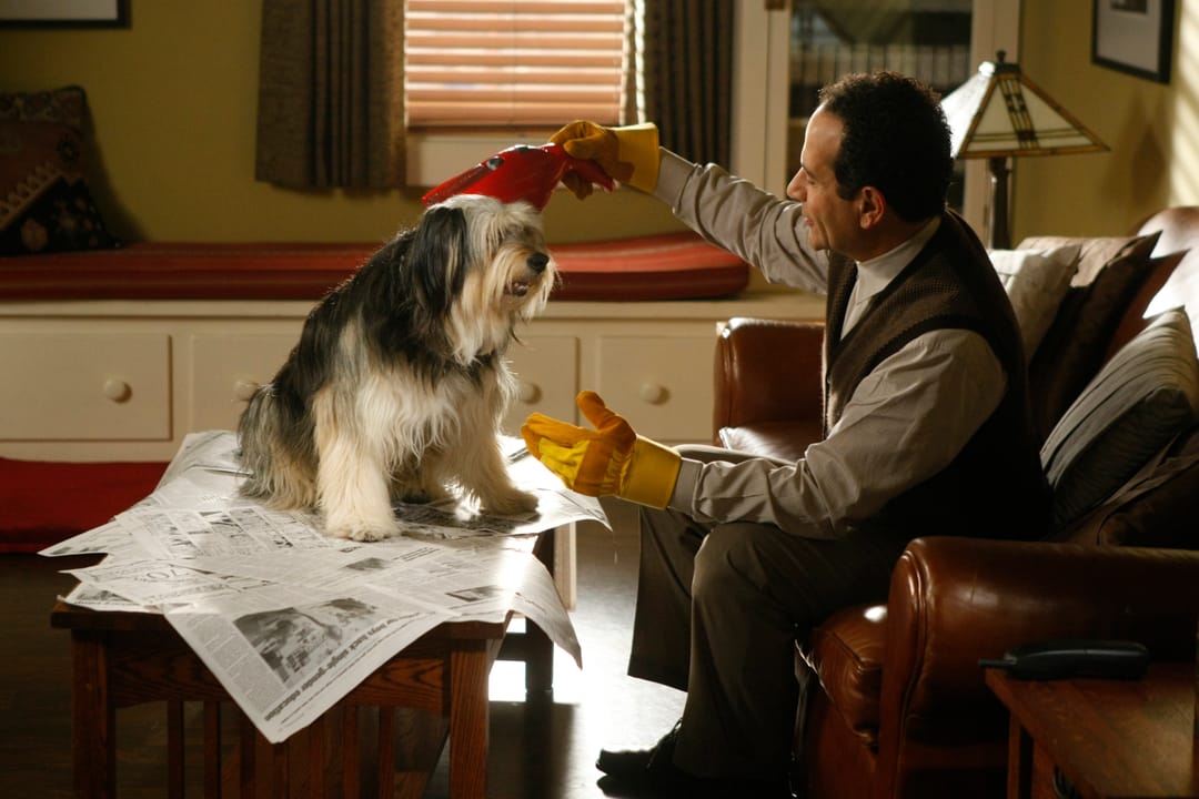 Monk T8: El señor Monk y el perro - AMC SELEKT