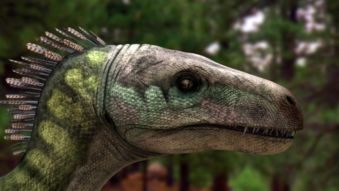 Lucha en el Jurásico: La última batalla del raptor - AMC CHANNELS