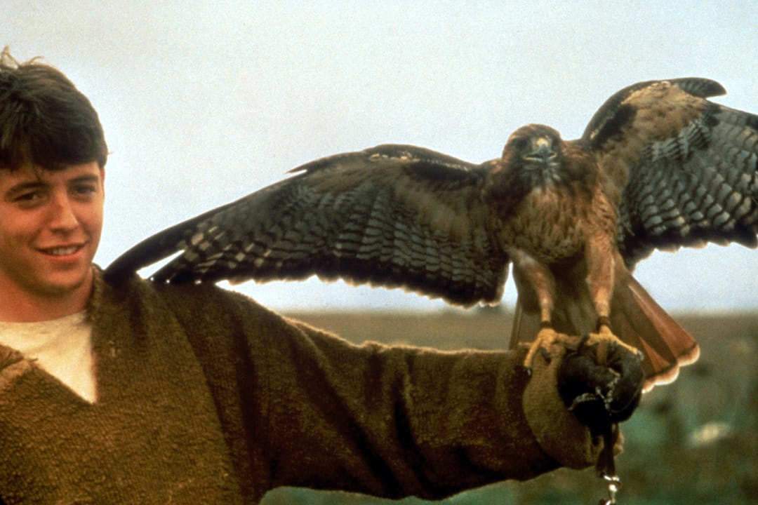 Lady Halcón - AMC CHANNELS