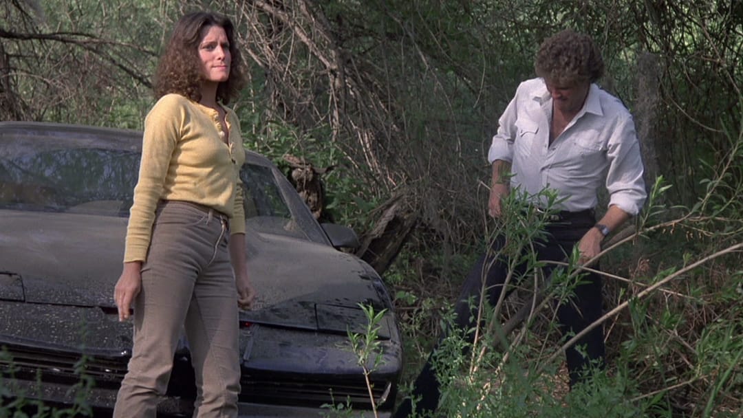 El coche fantástico: Círculos de fuego - AMC SELEKT